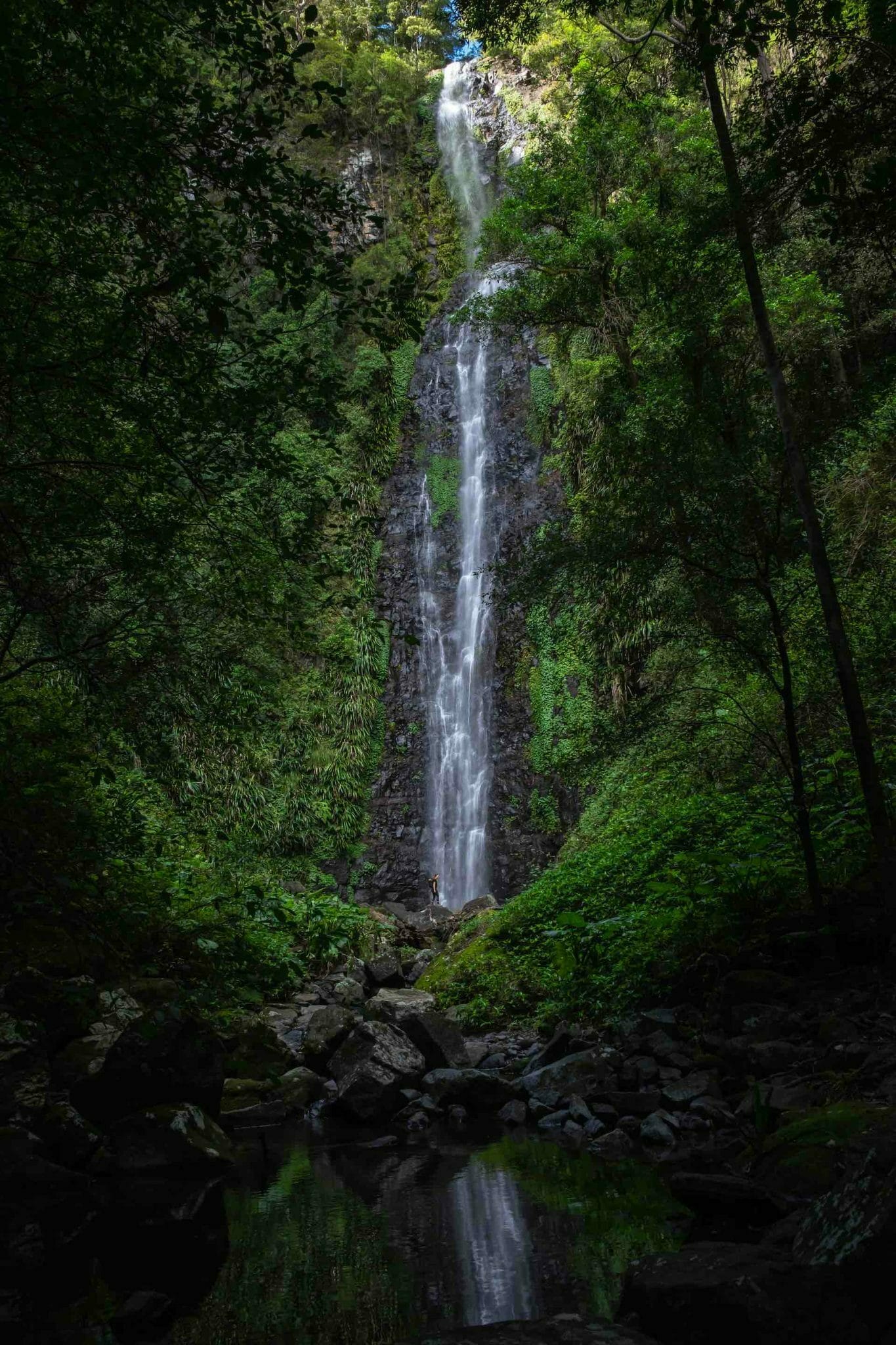 Guide to Finding Larapinta Falls | South East Queensland - We Are Explorers