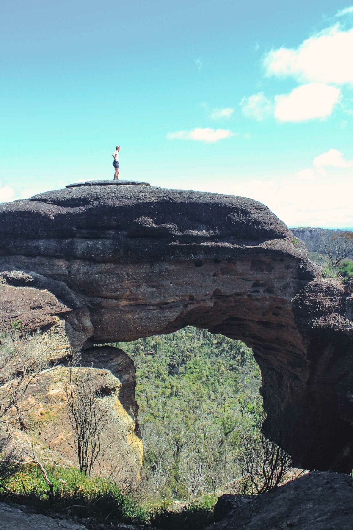 Hiking Wog Wog Campground to Cooyoyo Campground and The Castle - We Are ...