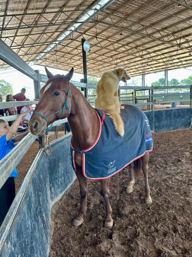 Katherine NT: Adventure Guide to The Outback Hub - We Are Explorers