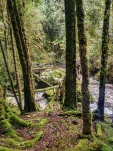 Kelly Basin | Exploring Tassie's West Coast - We Are Explorers