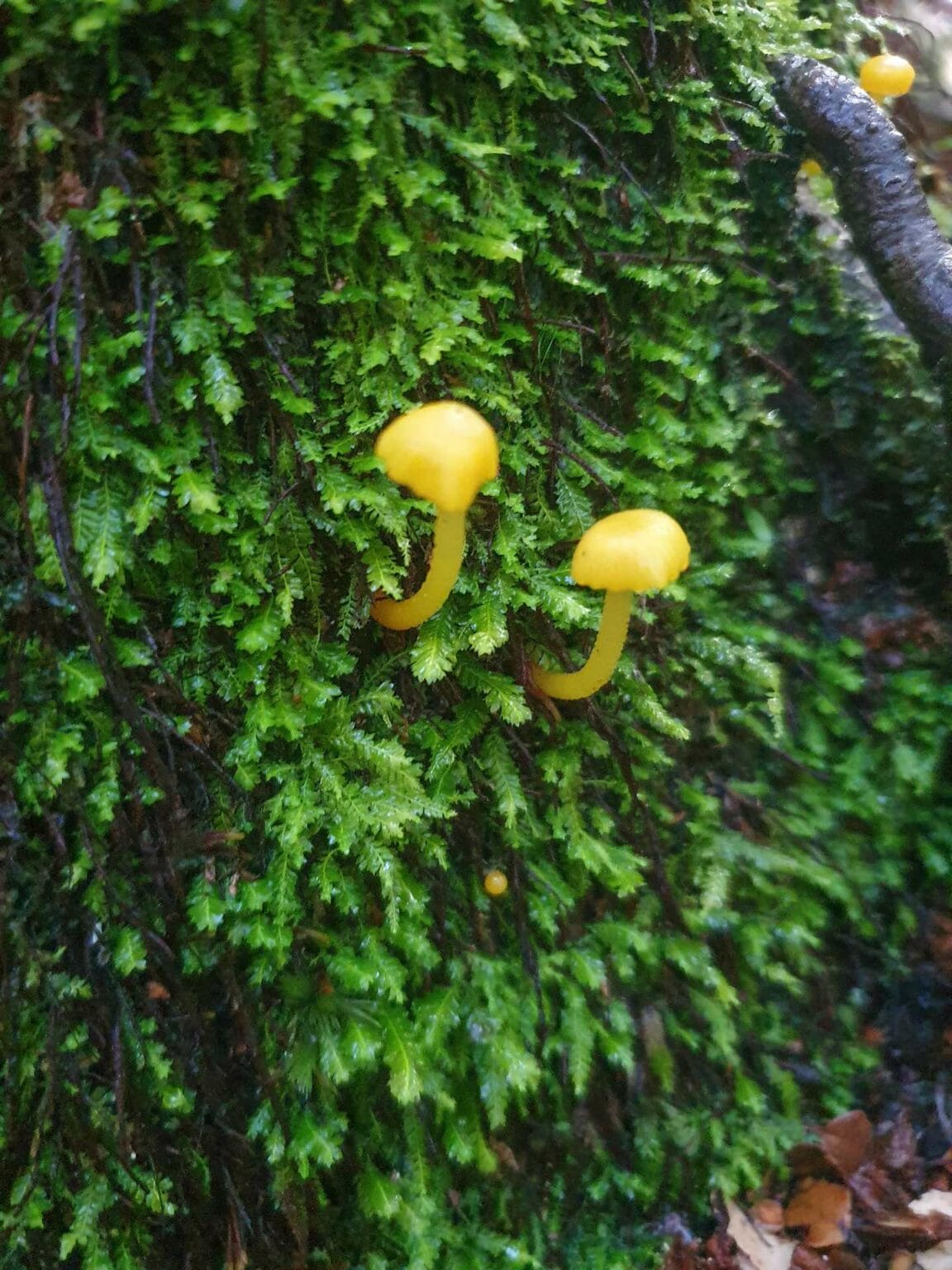 Kelly Basin | Exploring Tassie's West Coast - We Are Explorers