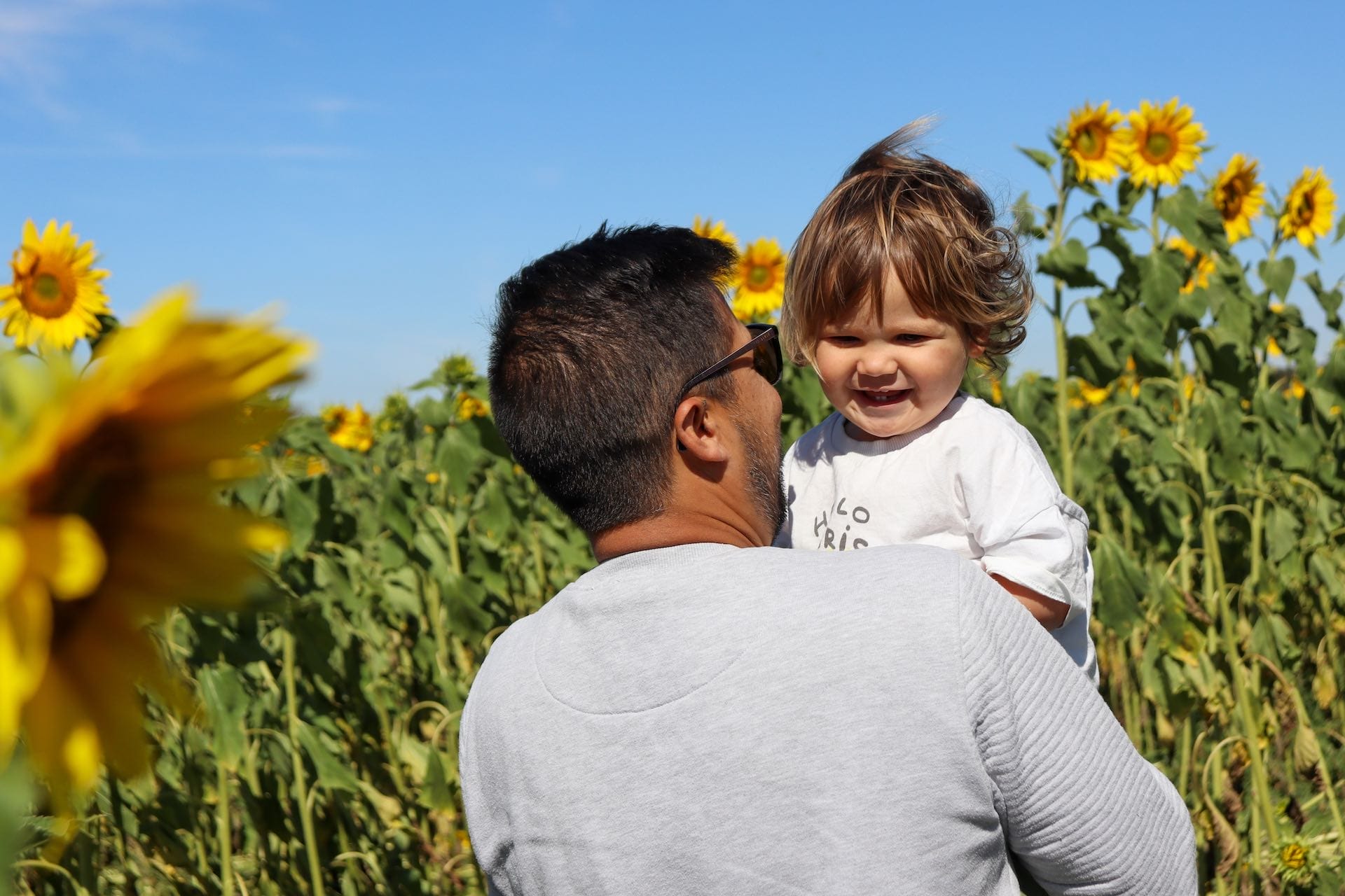 Sunflowers Melbourne | Dunnstown Pick Your Own Sunflowers Field - We ...