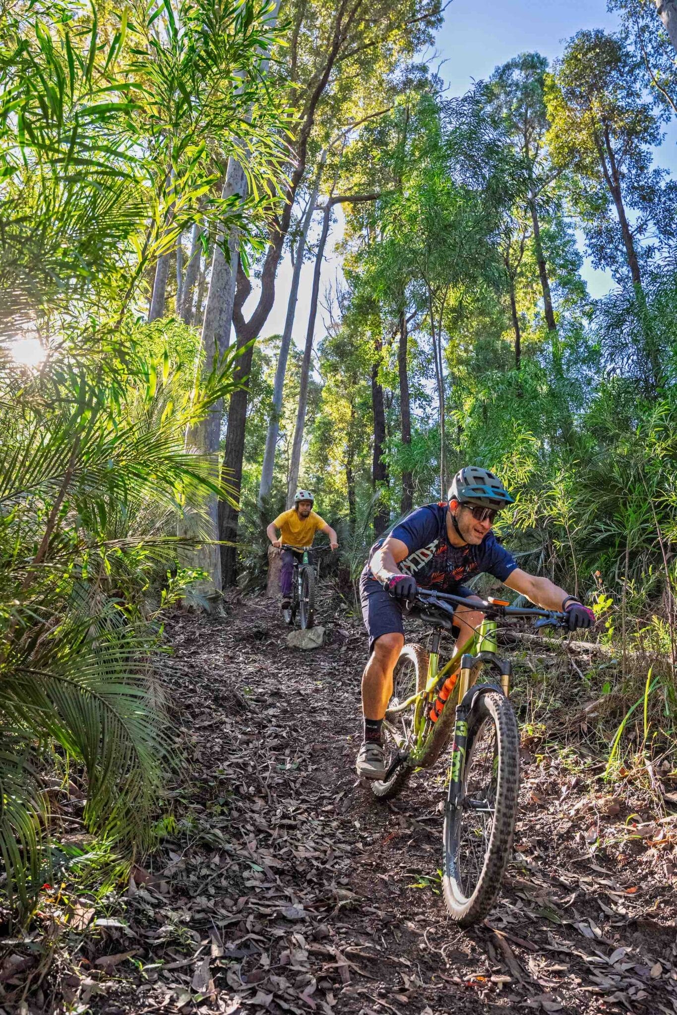 Top 5 Mogo Trails for Mountain Biking Fanatics | Mogo, NSW - We Are Explorers