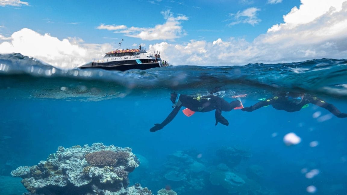 Dreamtime Dive and Snorkel is a First Nations-led tour of the Great ...