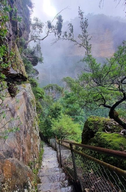Ruined Castle & Mount Solitary | 21km Hike Blue Mountains NSW - We Are ...