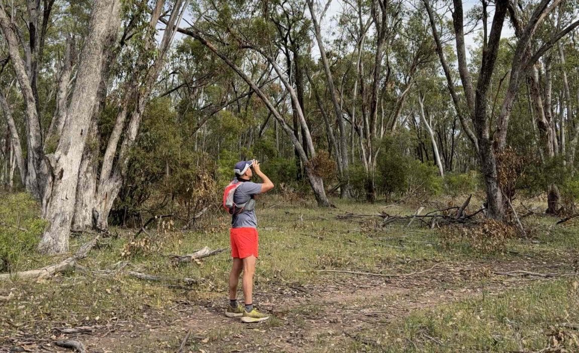 I Ran a Birdarathon by Combining Bird Watching & Trail Running - We Are ...